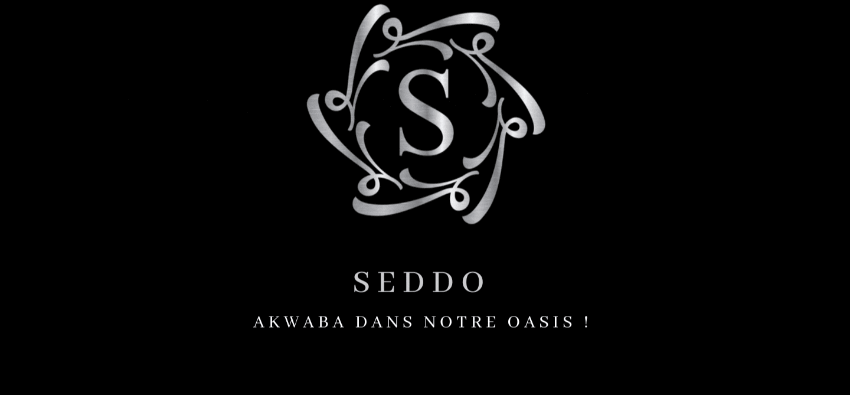 Paiement Pro | HEBERGEMENT SEDDO GOLDEN